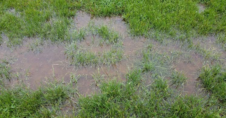 Expert Water Line Replacement Services | Aaron Plumbing