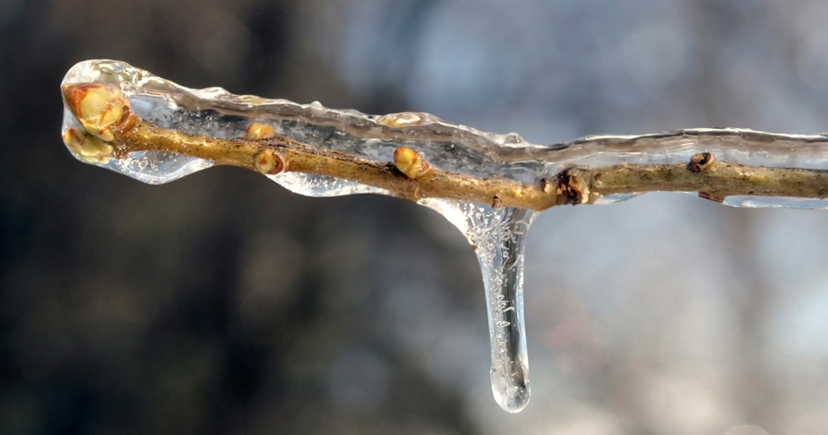 Cold Weather Plumbing Tips to Avoid Emergencies